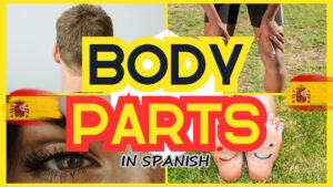 Learn the Parts of the Human Body in Spanish Easily. Video and exercise